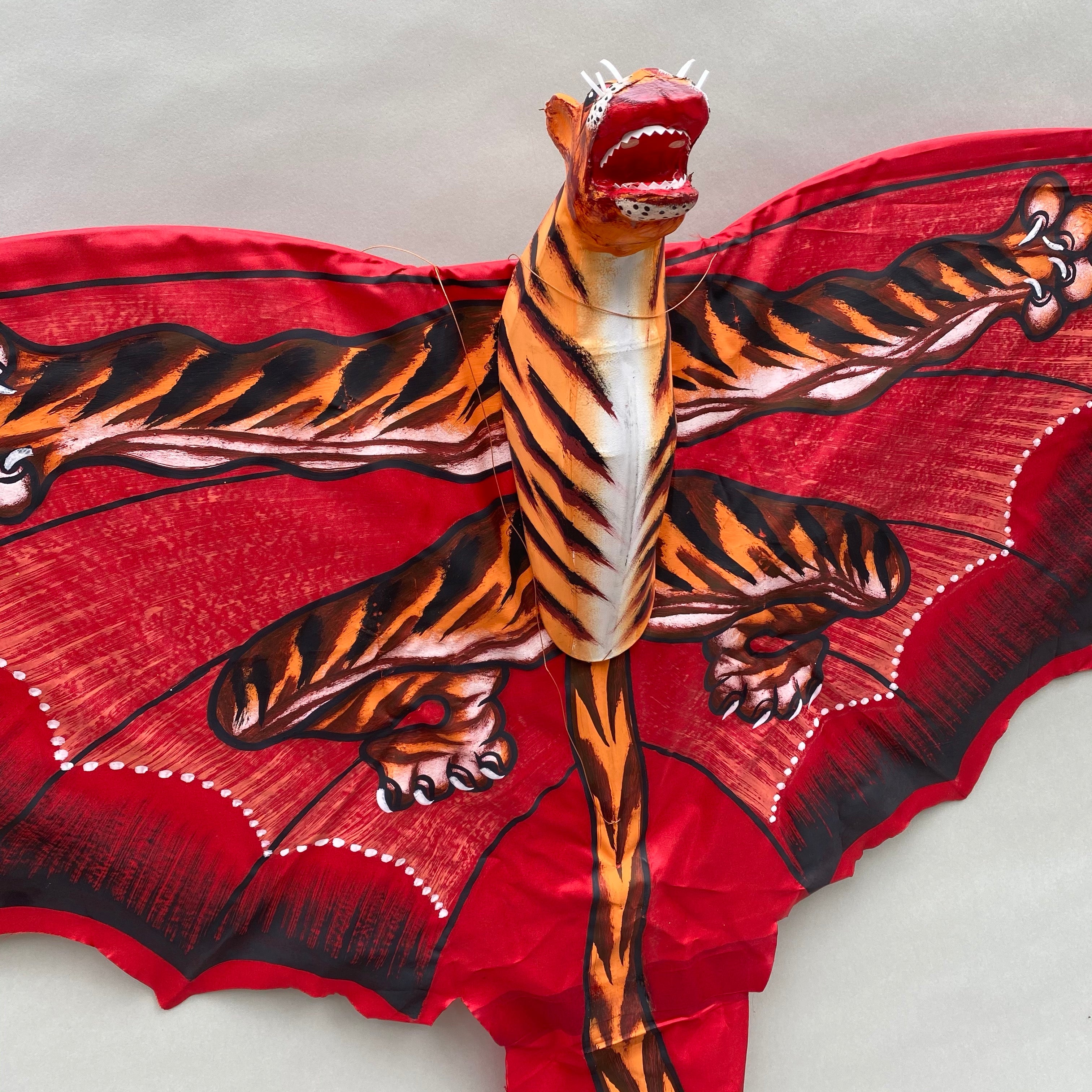 Flat Dragon Kites
