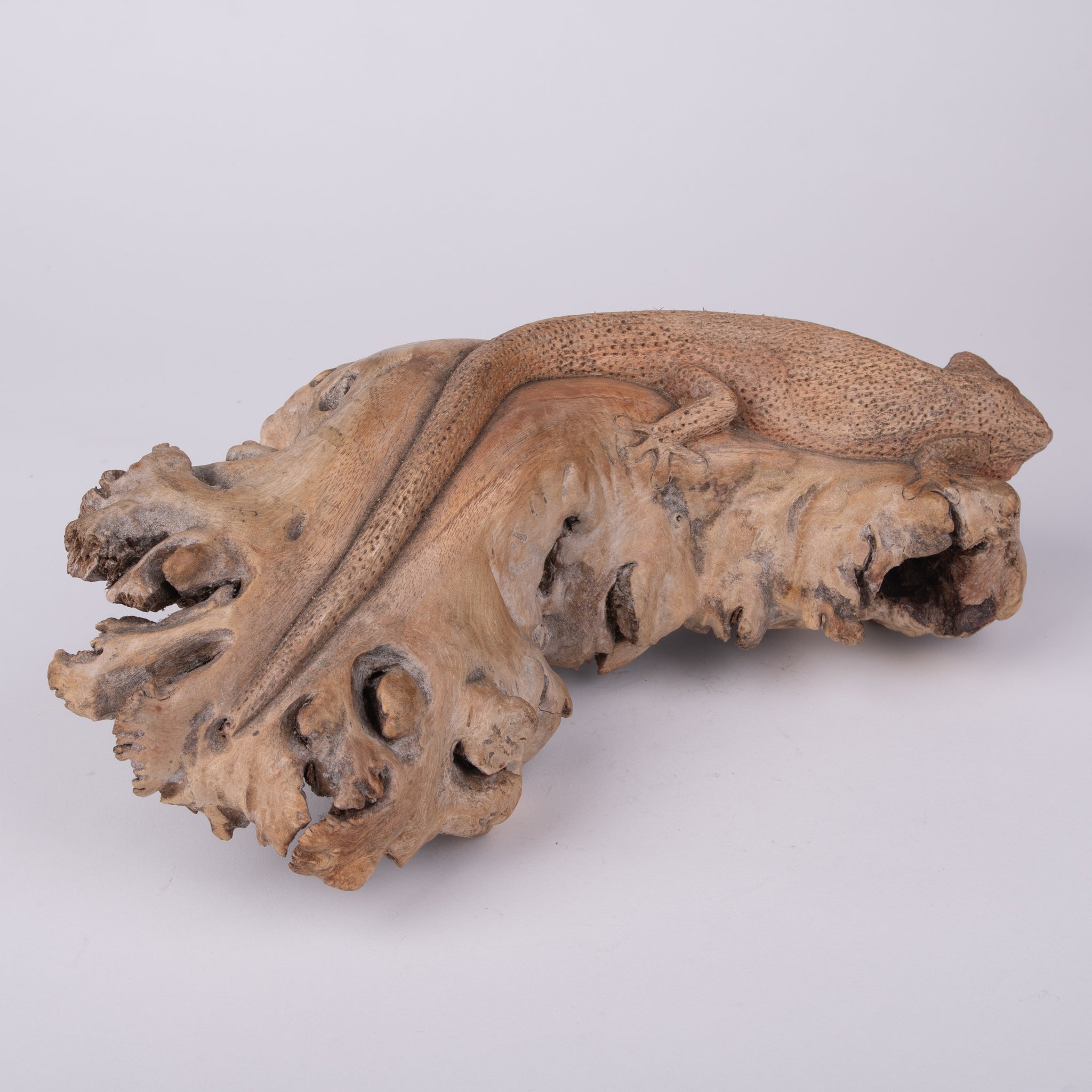 Parasite Wooden Giant Lizard Carving – From Bali to Us